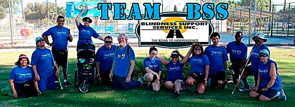 Team BSS, training classes, provide program services, walking, Health, fitness